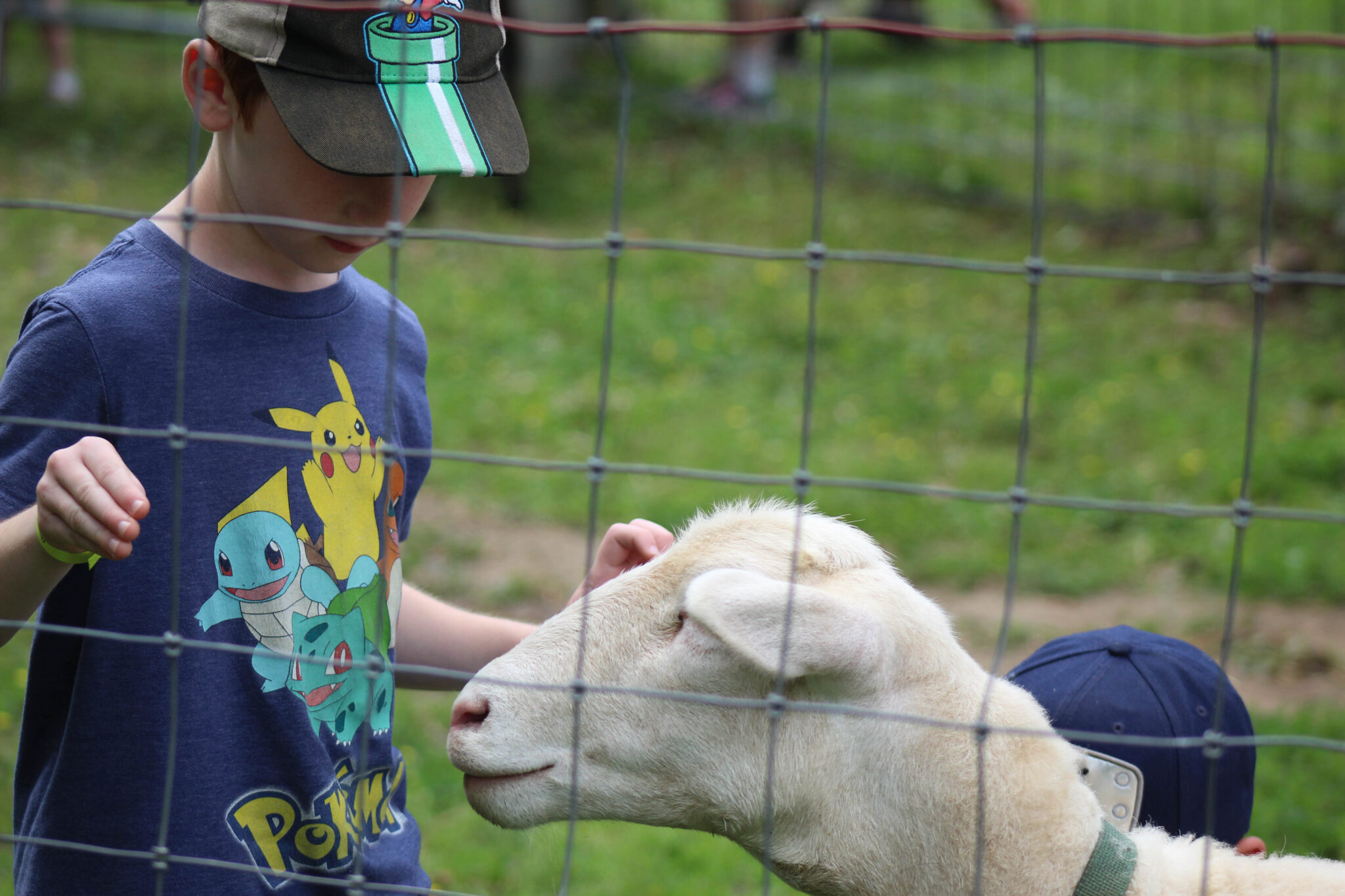 Activities | Victory Valley Camp